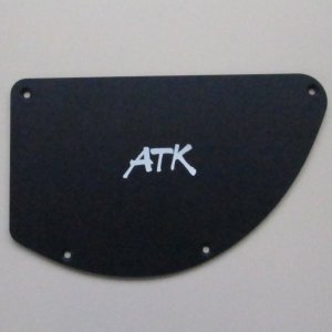 Ibanez Bass Control Cavity Plate 4PT00C0010 - Drums Etc.