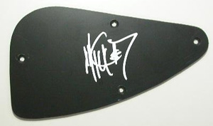 Ibanez Guitar Control Cavity Plate 4PT1CMTM23 - Drums Etc.