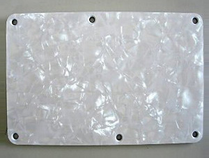 Ibanez Guitar Tremolo Cavity Plate 4PT1RG2PL - Drums Etc.