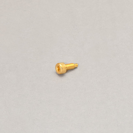 IBANEZ STRING STOPPER BOLT FOR ELECTRIC GUITAR (2LE24G) - Drums Etc.